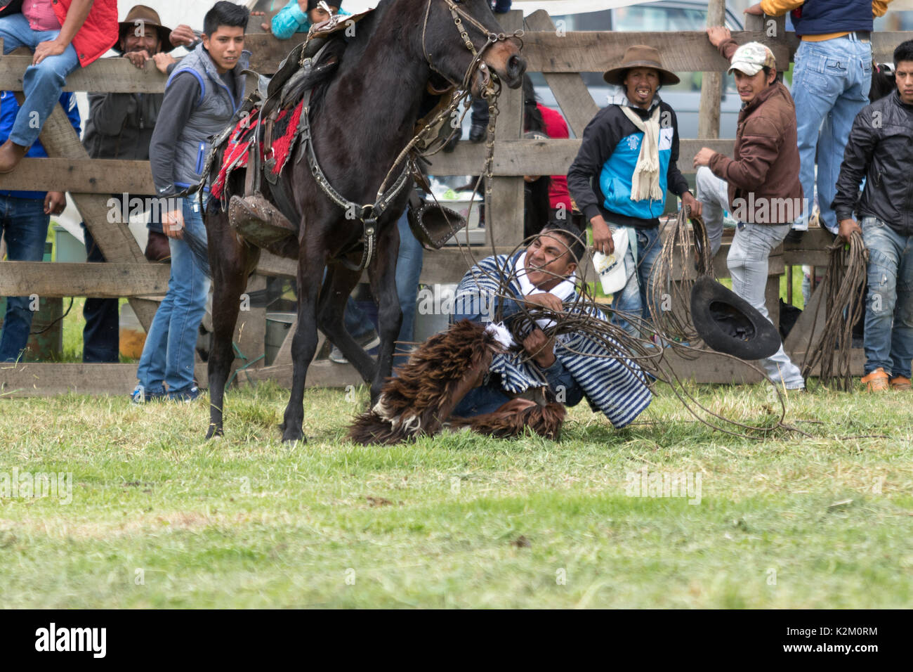 June 3, 2017 Machachi, Ecuador: cowboy called 'chagra' falling off the ...