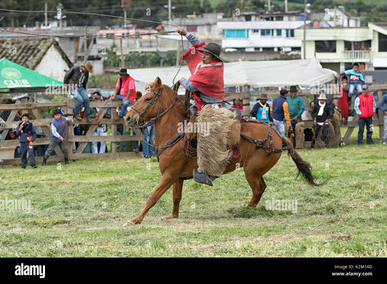 June 3, 2017 Machachi, Ecuador: indigenous quechua cowboy in field ...