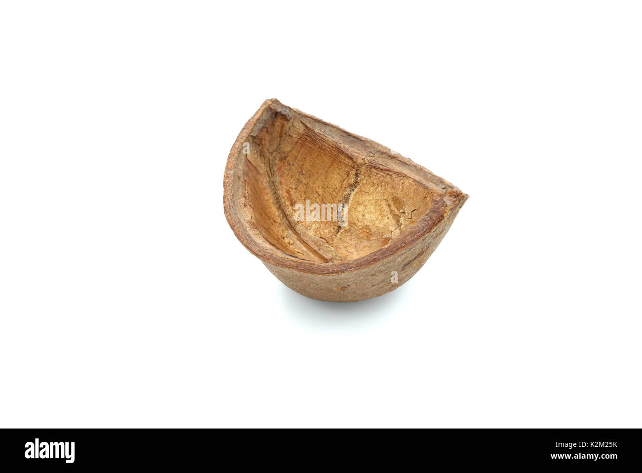Dry brown coconut shell isolated on white background Stock Photo - Alamy