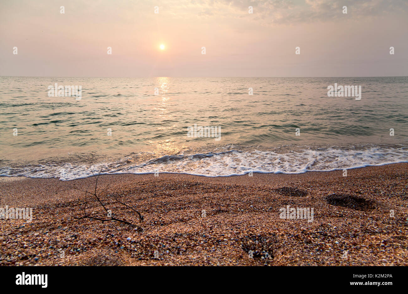 Azov sea sandy beach shells hi-res stock photography and images - Alamy