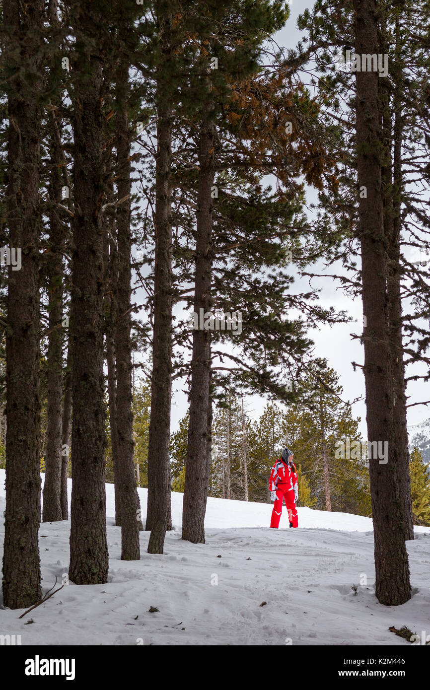 L skier hi-res stock photography and images - Alamy