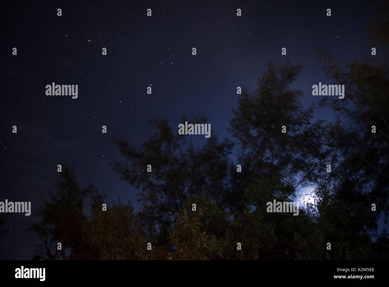 A Cool Starry Night Stock Photo - Alamy
