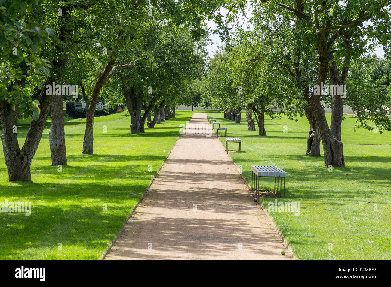 The way in the park with tree Stock Photo - Alamy