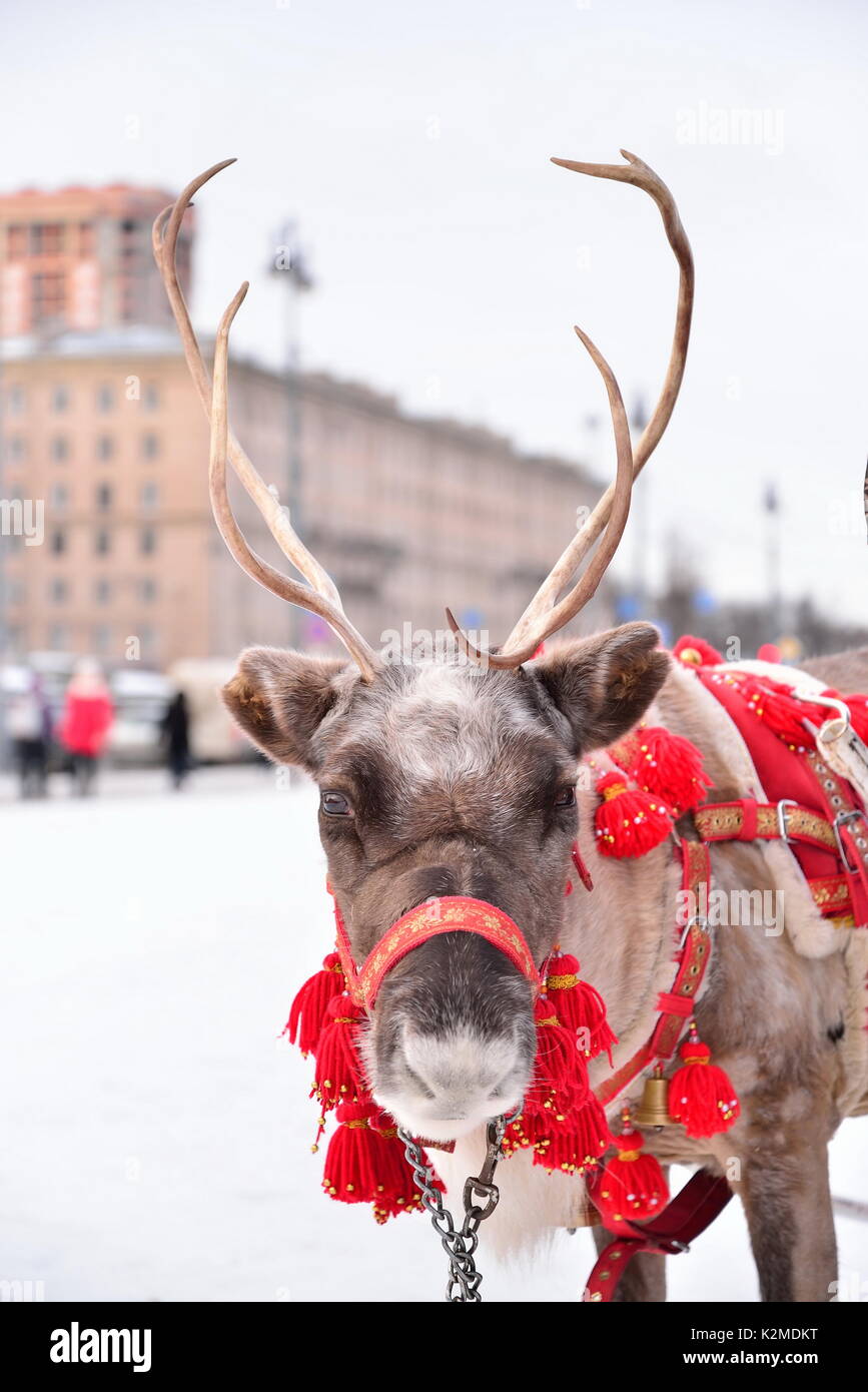 Happy tuesday hi-res stock photography and images - Alamy