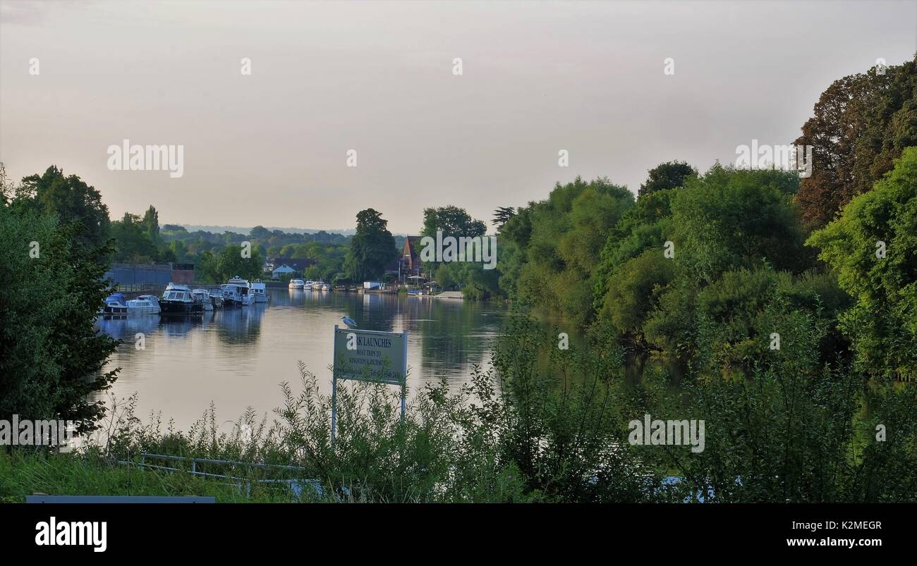river thames boat launch hampton court Stock Photo - Alamy
