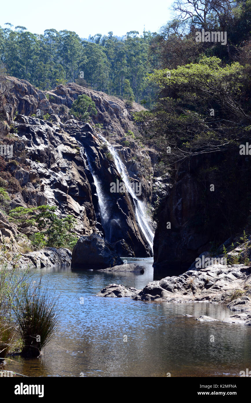 Swaziland Umhlanga Reed Dance Stock Photo - Alamy