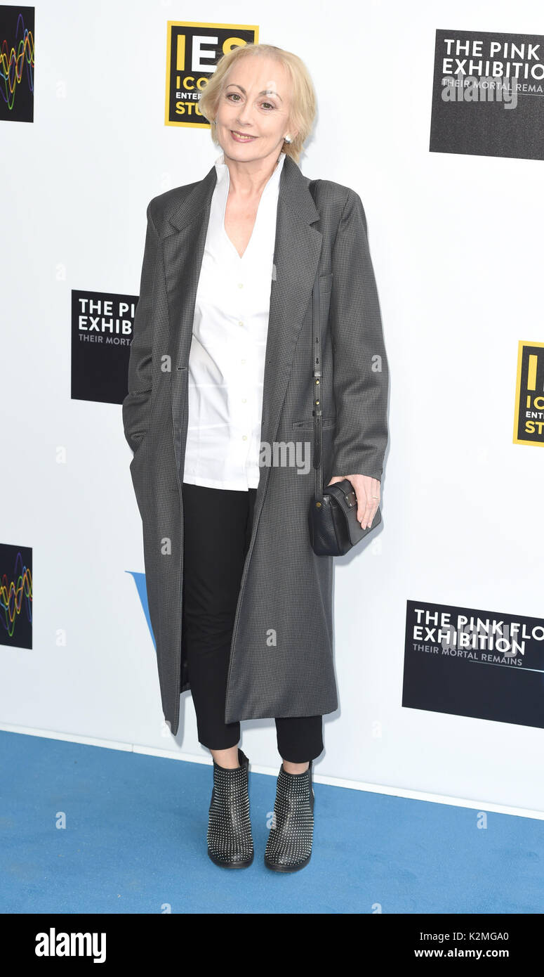 Paula wilcox hi-res stock photography and images - Alamy