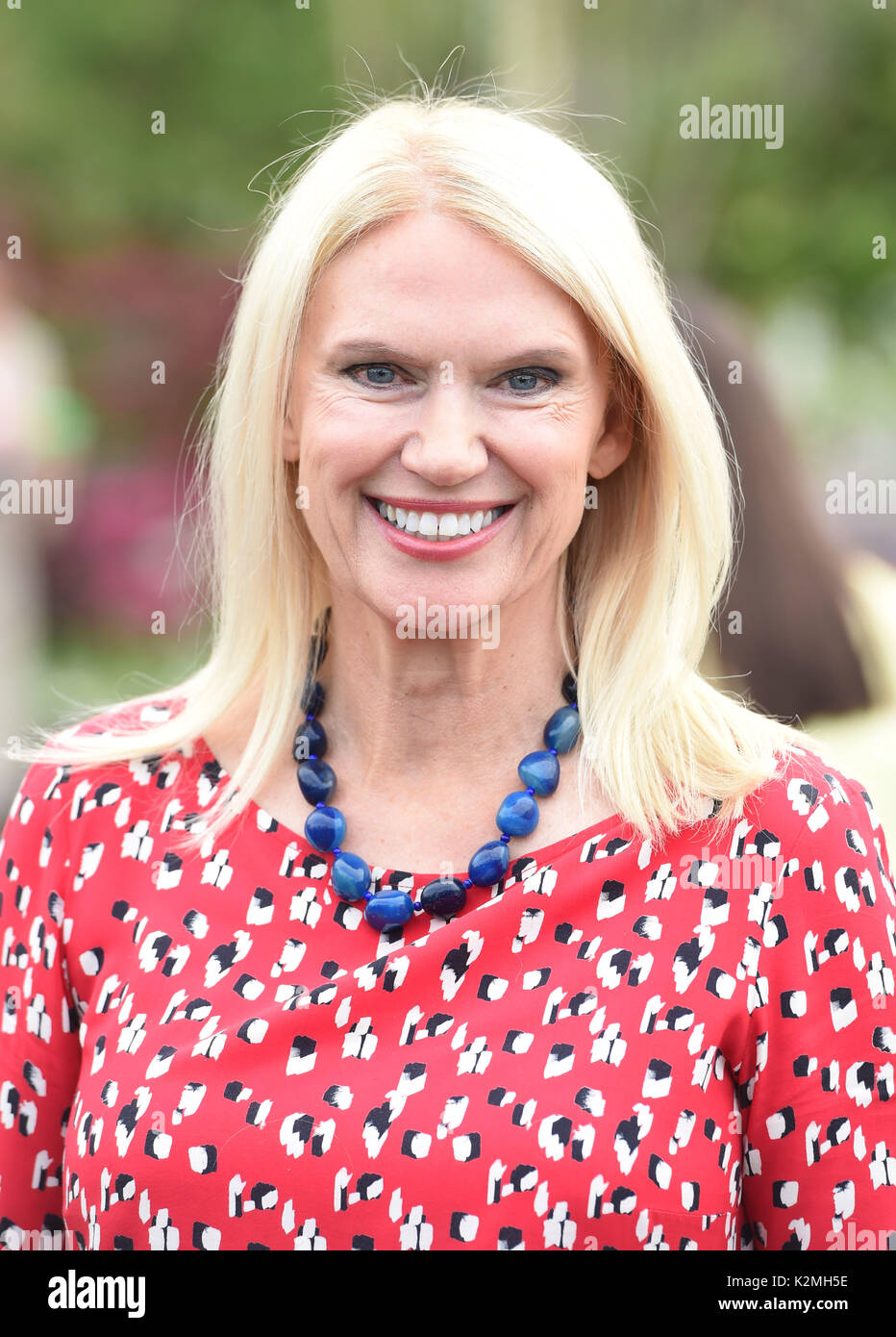 Anneka rice hi-res stock photography and images - Alamy