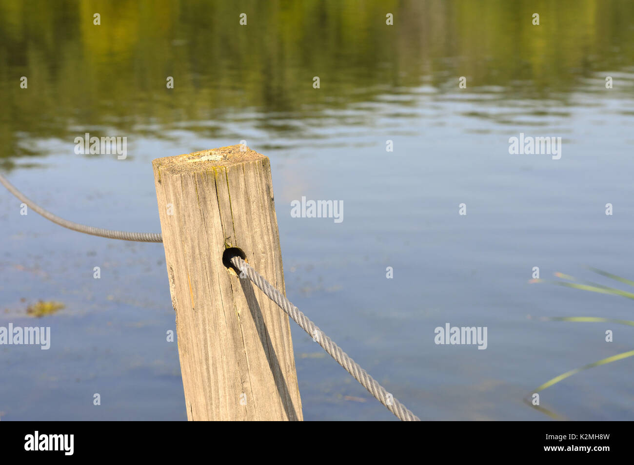 Wooden post in the wetland Stock Photo - Alamy