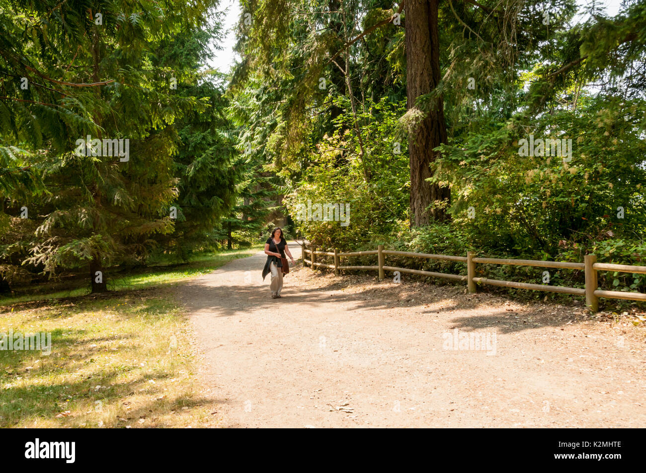 Seattle park hi-res stock photography and images - Alamy