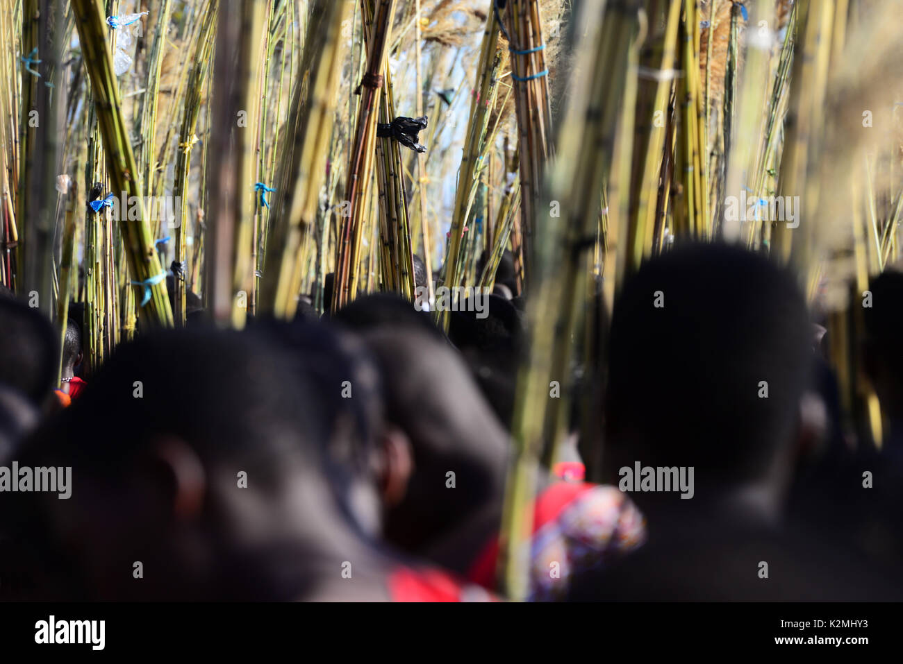 Swaziland Umhlanga Reed Dance Stock Photo - Alamy