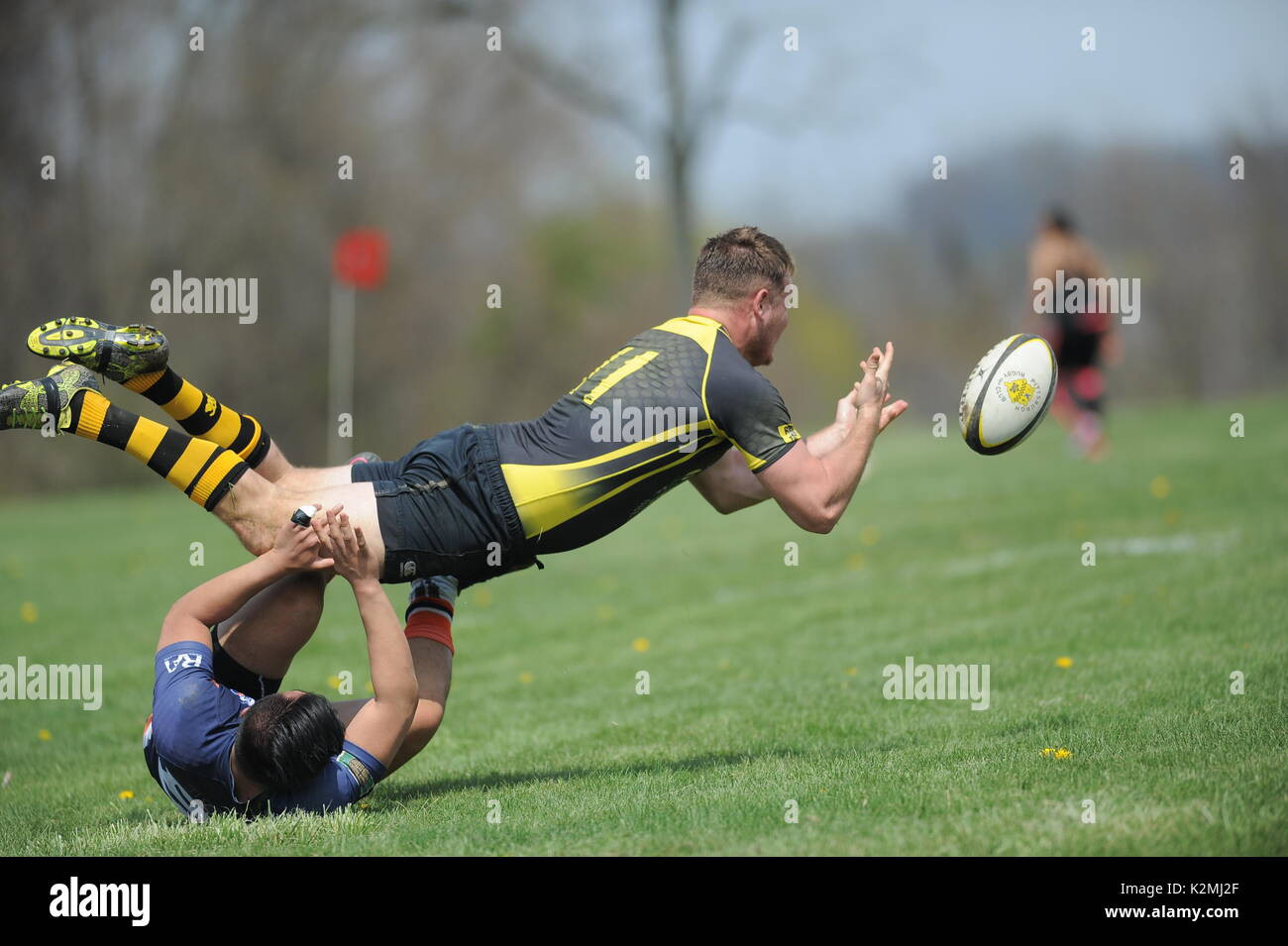 rugby diving pass Stock Photo - Alamy