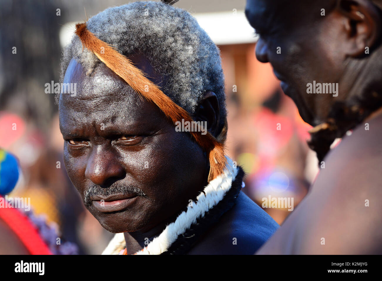 Swaziland Umhlanga Reed Dance Stock Photo - Alamy