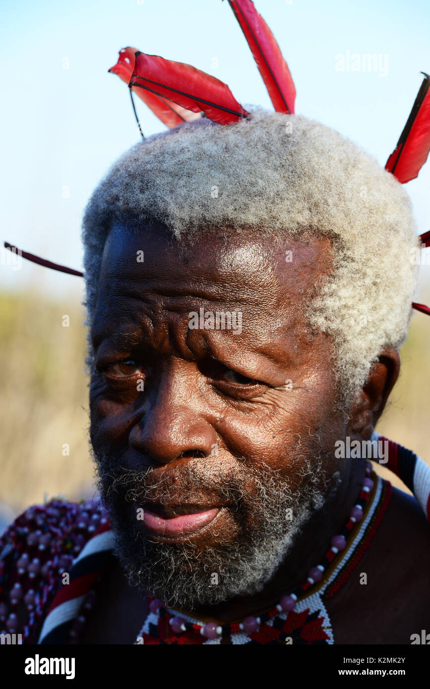 Swaziland Umhlanga Reed Dance Stock Photo - Alamy