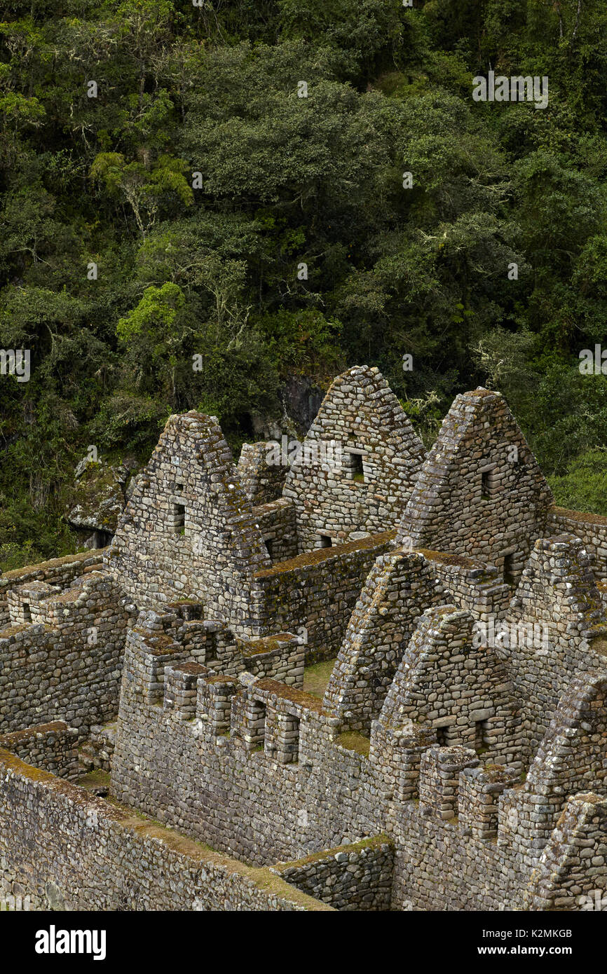 Historic ruins of Inca city at Winay Wayna, on the Inca Trail to Machu ...