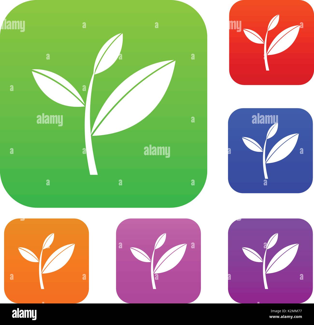 Tea leaf sprout set collection Stock Vector Image & Art - Alamy