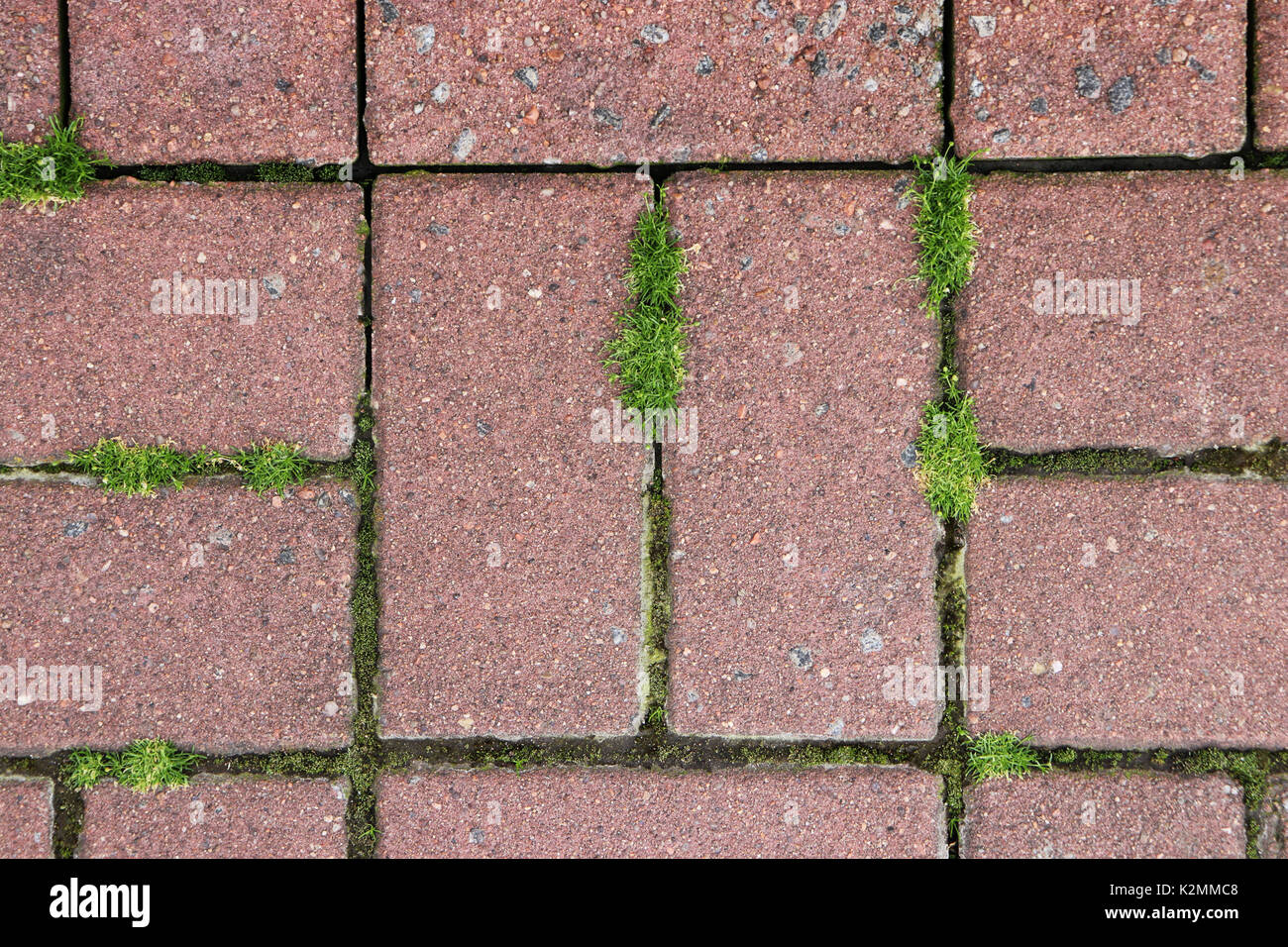 Texture of bricks hi-res stock photography and images - Alamy