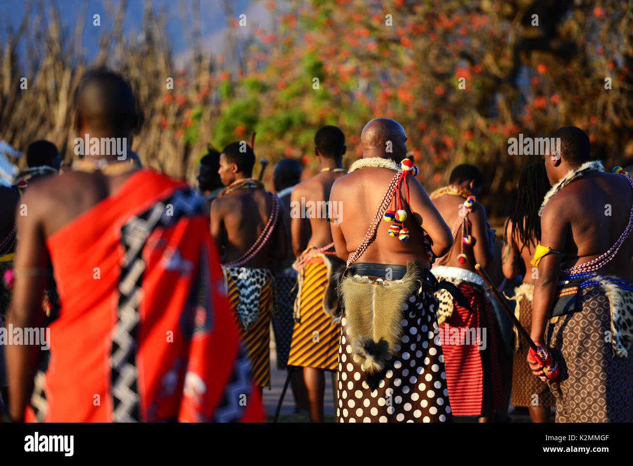 Swaziland Umhlanga Reed Dance Stock Photo - Alamy