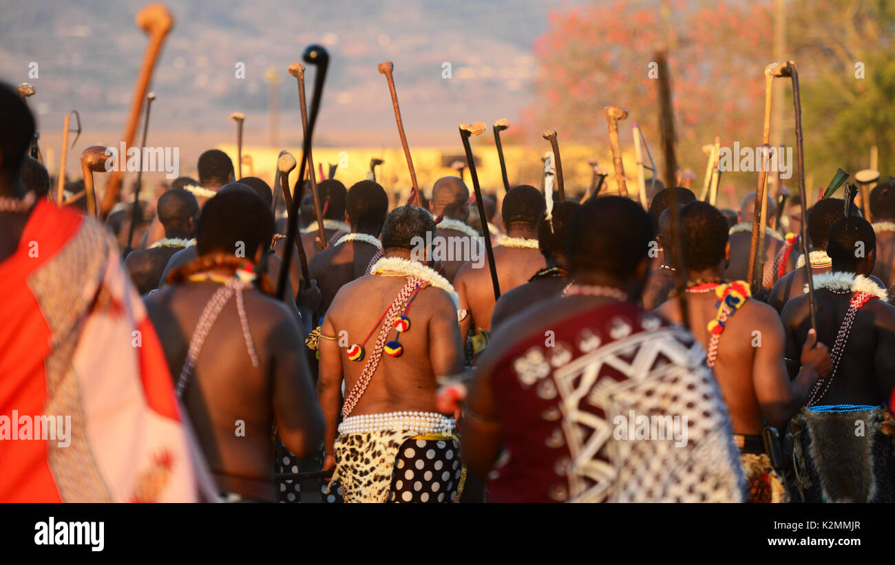 Swaziland Umhlanga Reed Dance Stock Photo - Alamy