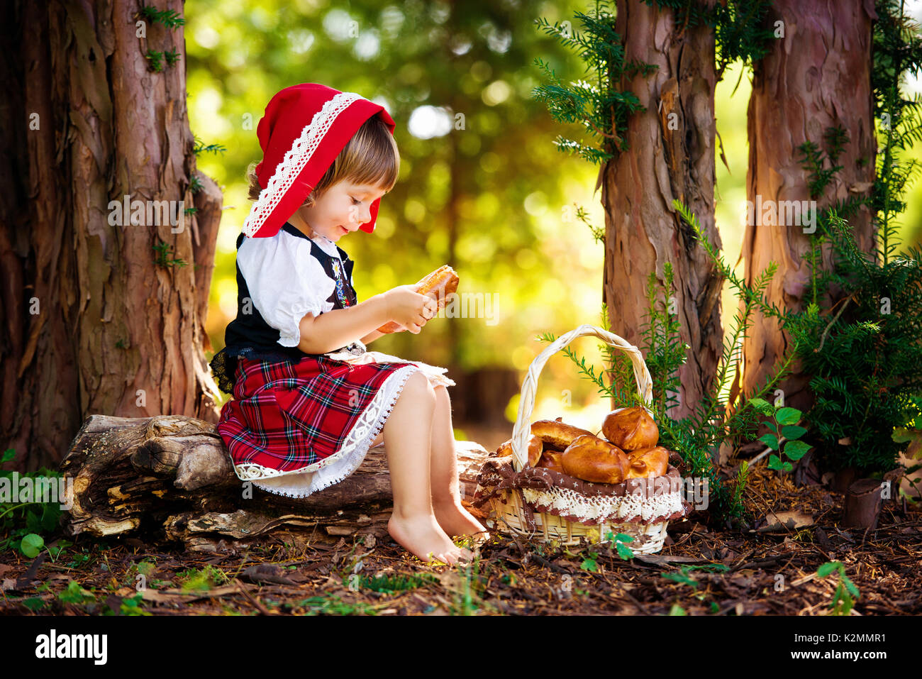 Little Red Riding Hood Child Photography