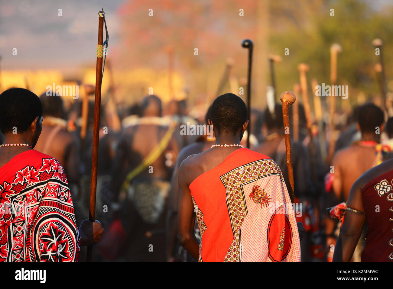 Swaziland Umhlanga Reed Dance Stock Photo - Alamy