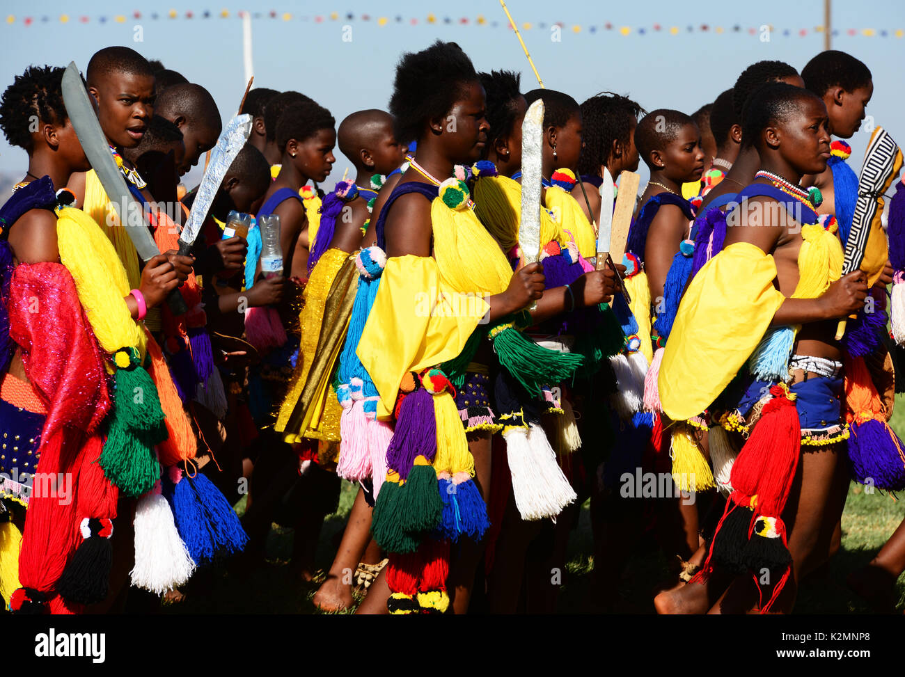 Reed dance south africa hi-res stock photography and images - Alamy
