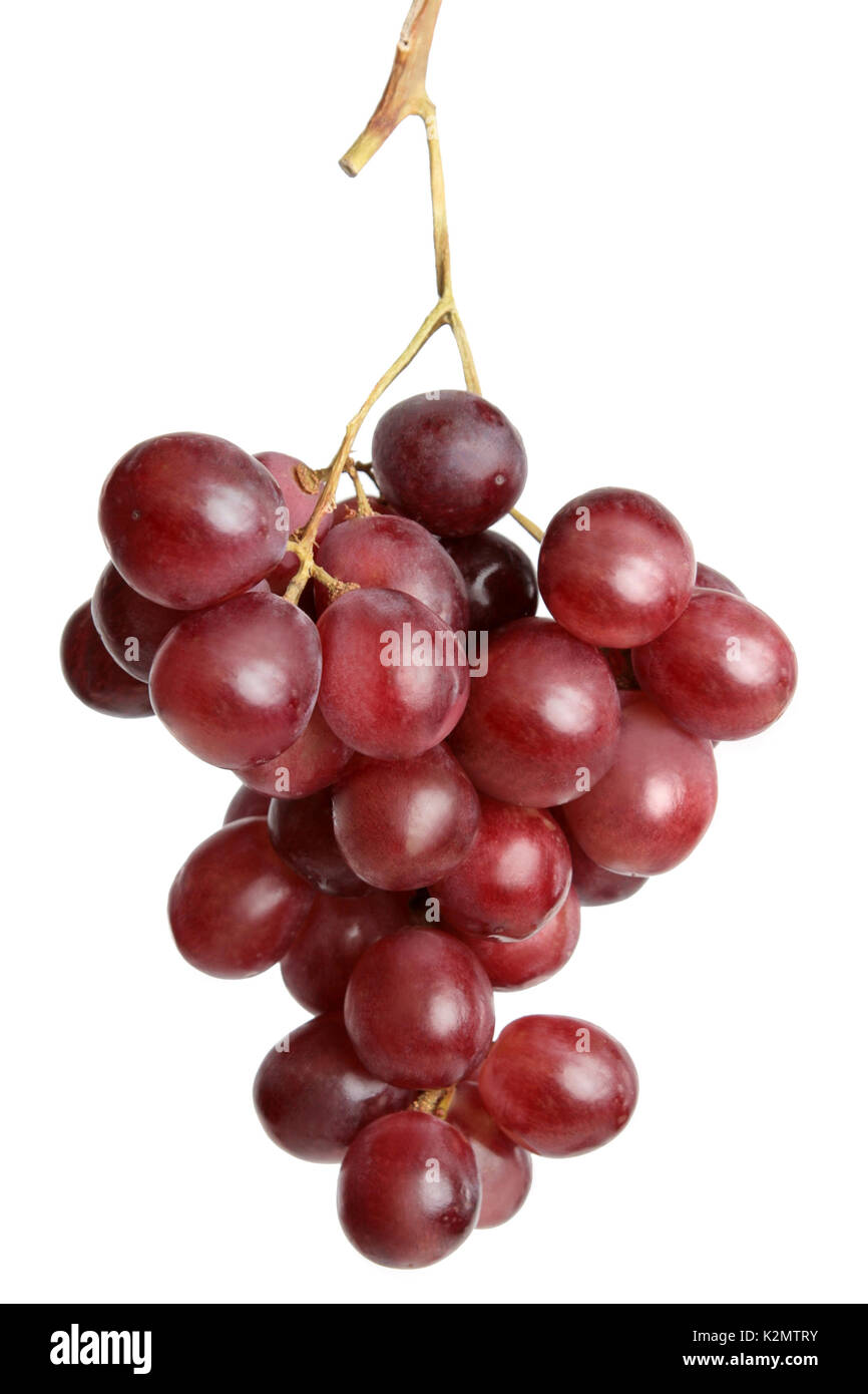 Ripe red grape. Red bunch with leaves isolated on white. With clipping path. Full depth of field ...