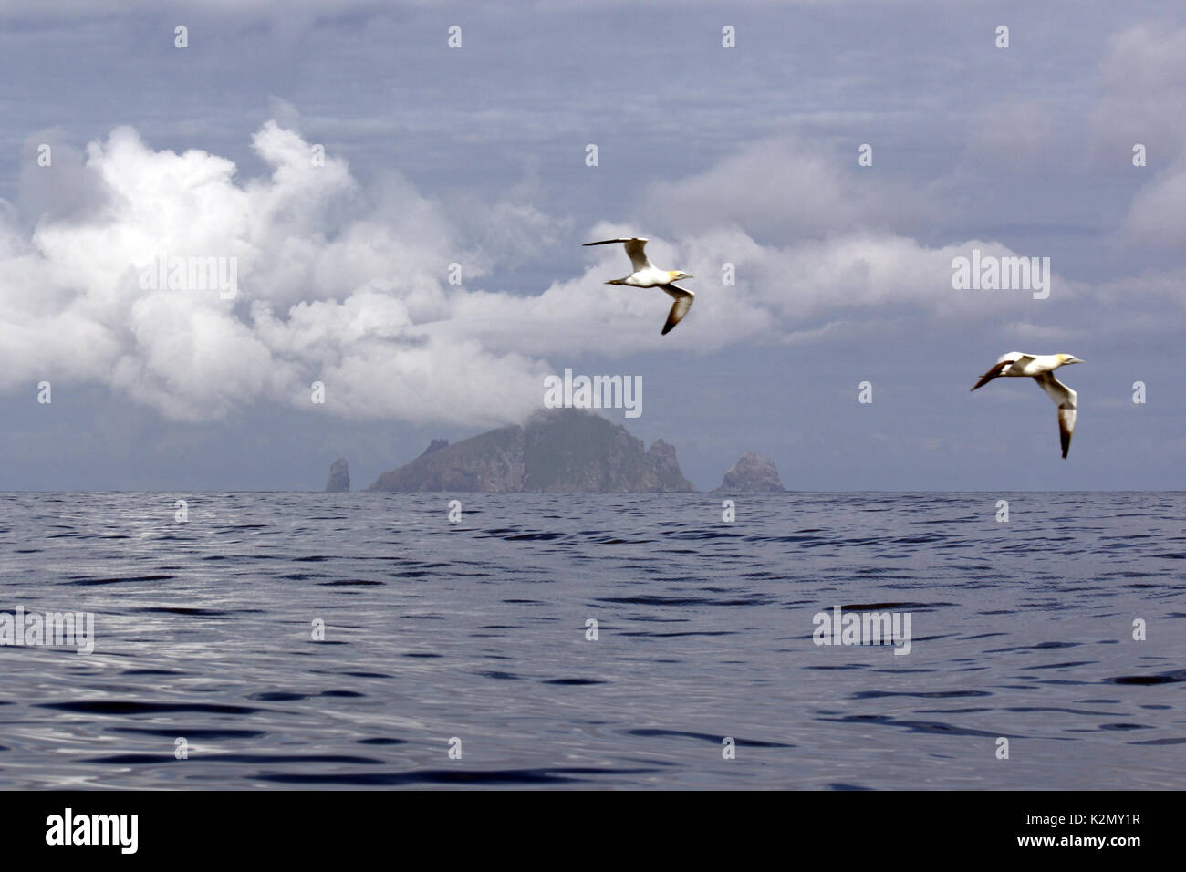 boreray and stacs viewed from the gap st kilda Stock Photo - Alamy