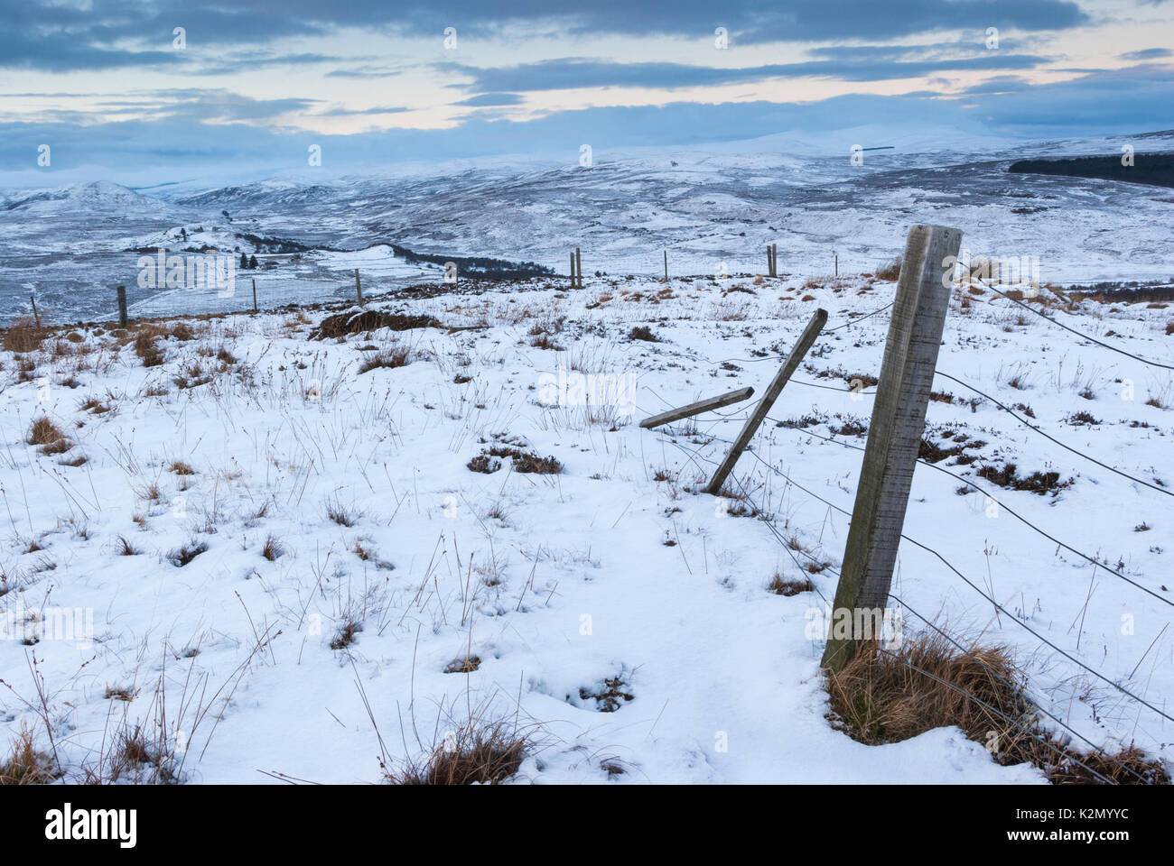 Old broken fence on hill in Rogart, Sutherland, Scotland, UK Stock ...