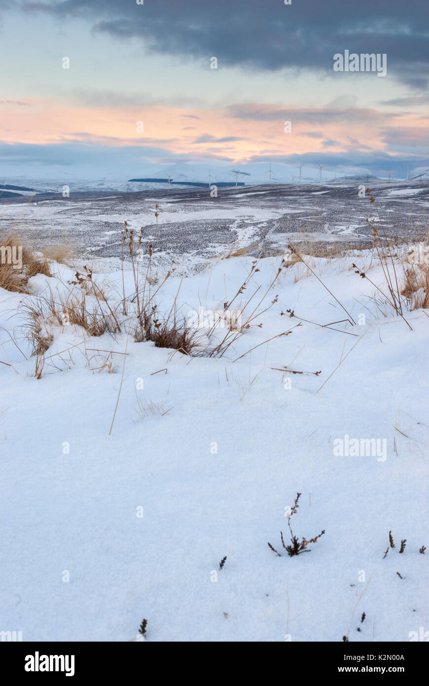 Winter landscape looking across barren hills to Kilbraur wind farm ...