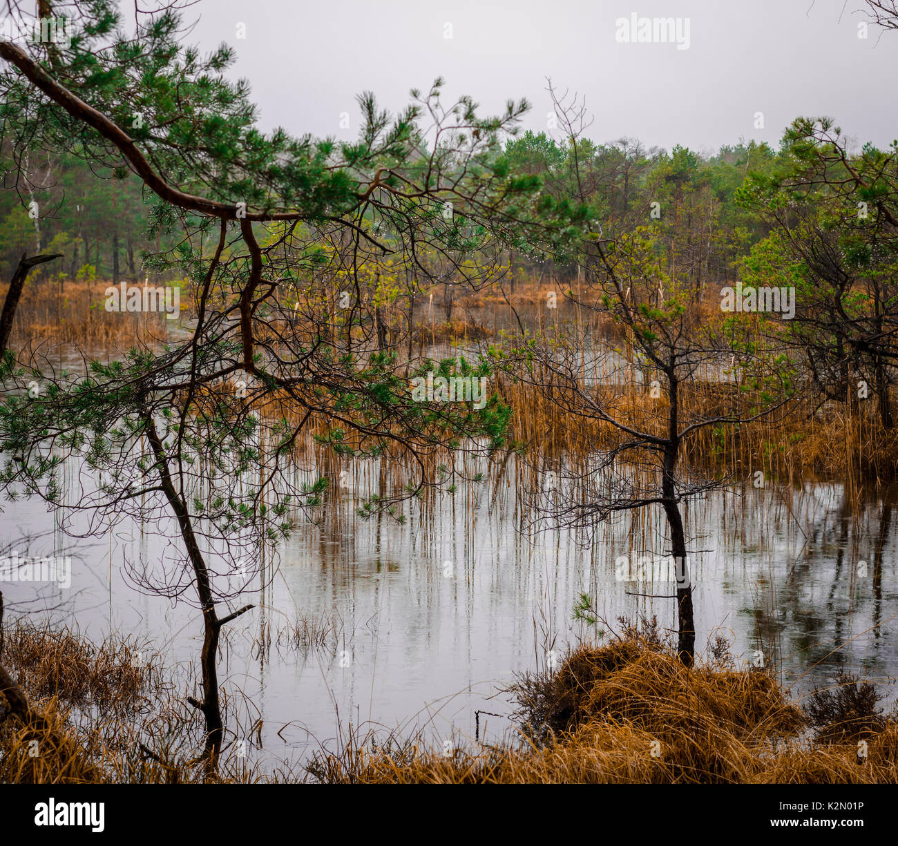 East germay hi-res stock photography and images - Alamy