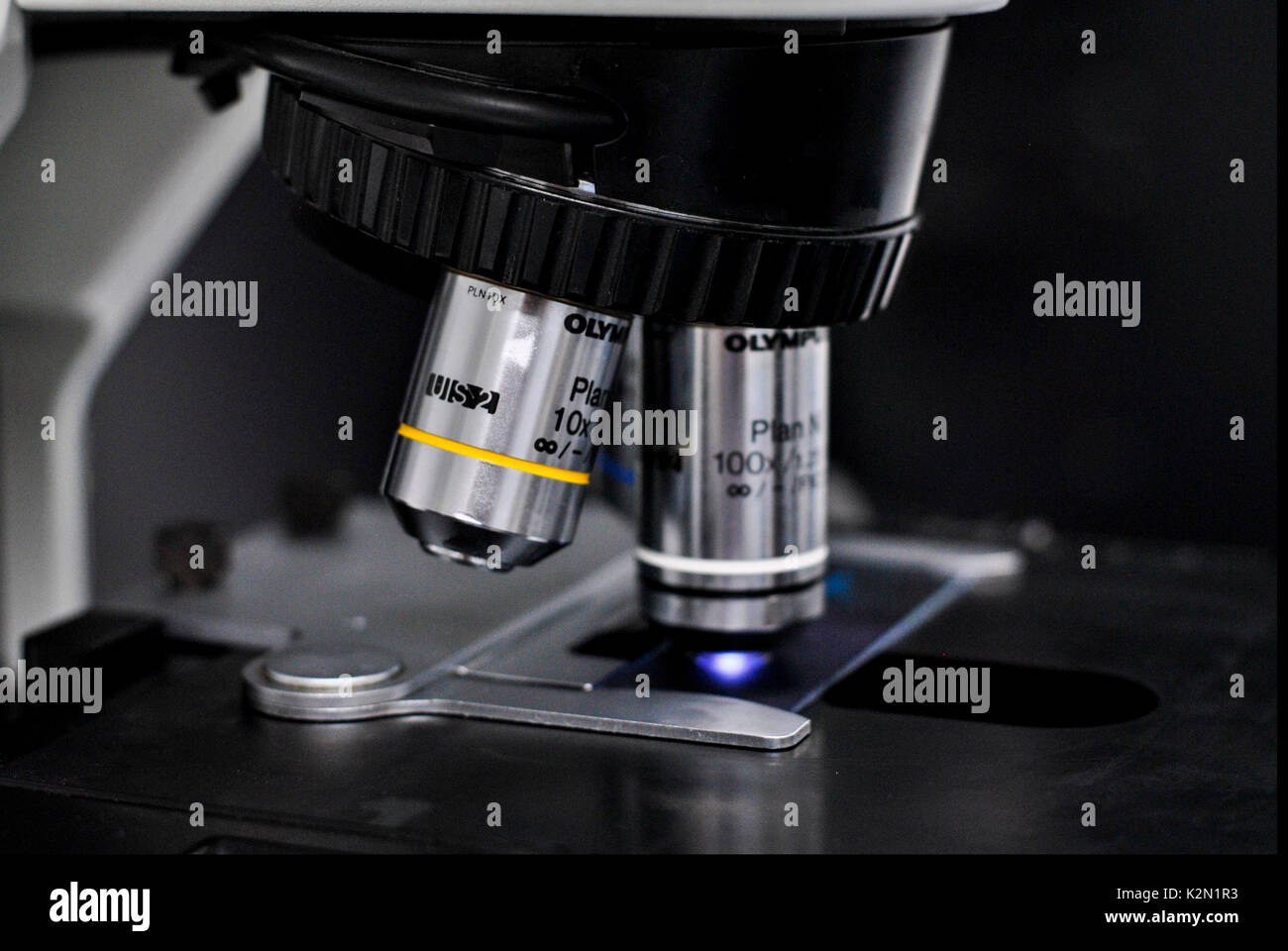 Blood smear High Resolution Stock Photography and Images - Alamy