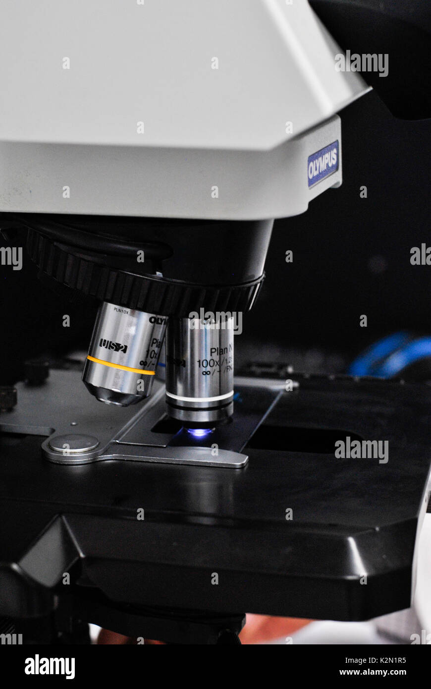 Blood smear microscope hi-res stock photography and images - Alamy