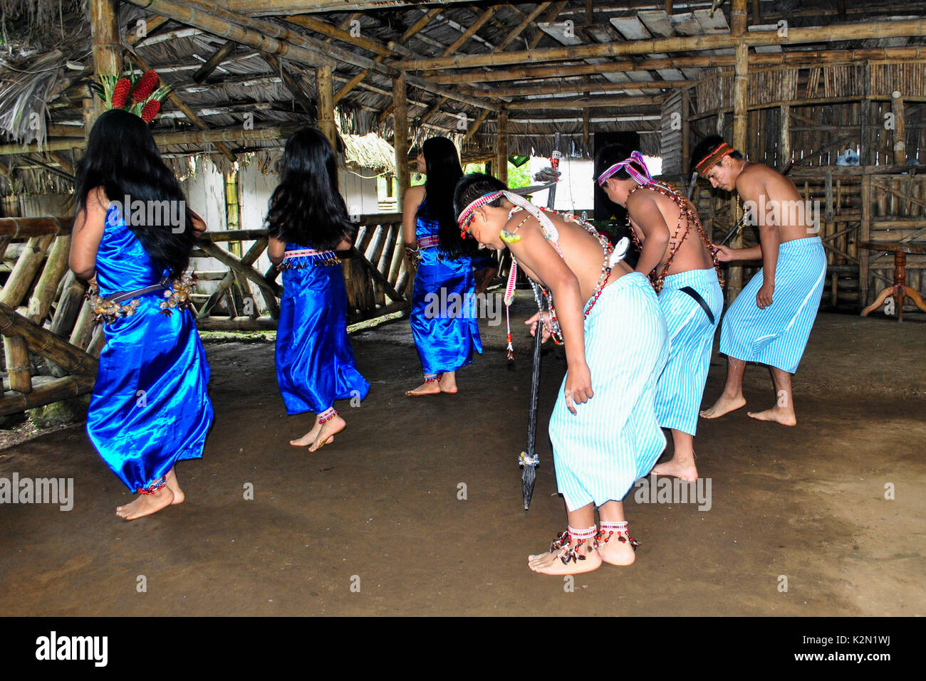 A group of Shuar young dancers. They wear accesories made of seeds in ...
