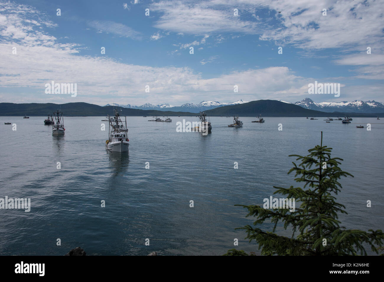 Seine Net Fishing in Southeast Alaska Stock Photo - Alamy