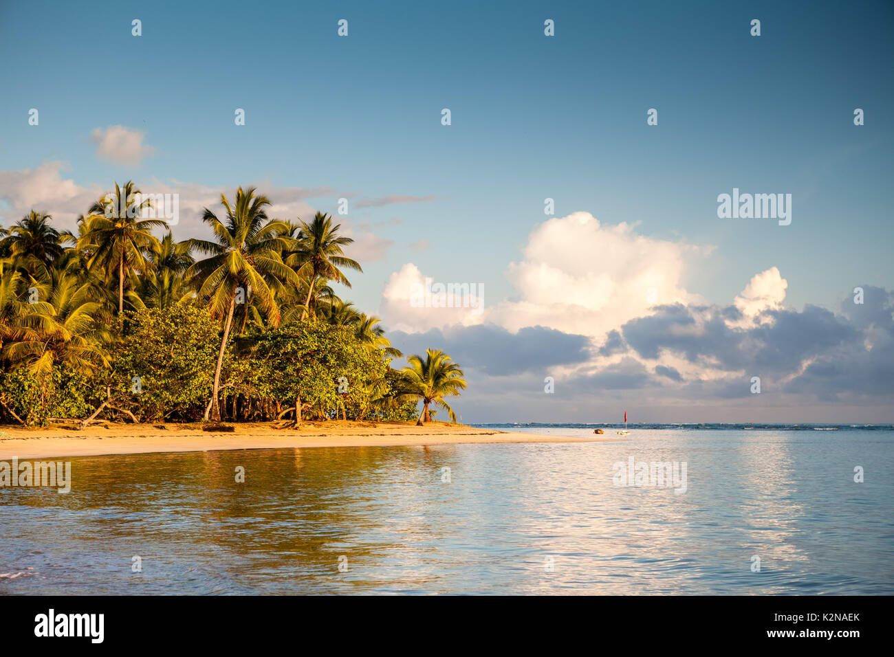 Tropical beach in Samaná, Dominican Republic Stock Photo - Alamy