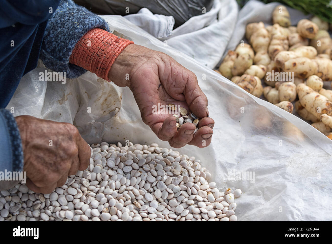 Hand with beans hi-res stock photography and images - Alamy