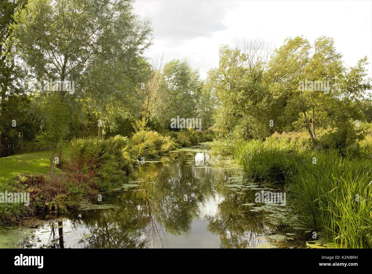 Peaceful River Gipping in Suffolk on a summer day Stock Photo - Alamy