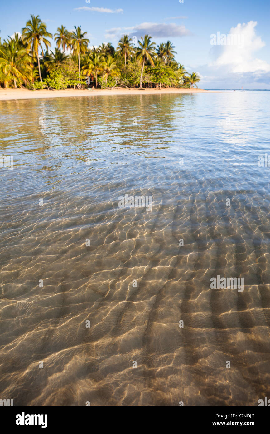 Tropical beach in Samaná, Dominican Republic Stock Photo - Alamy