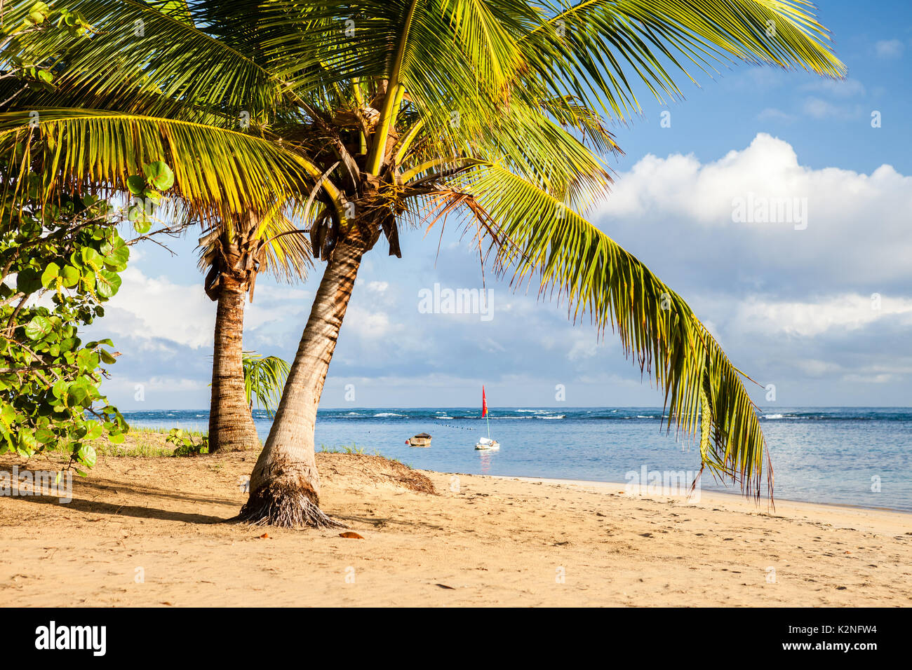 Tropical beach in Samaná, Dominican Republic Stock Photo - Alamy