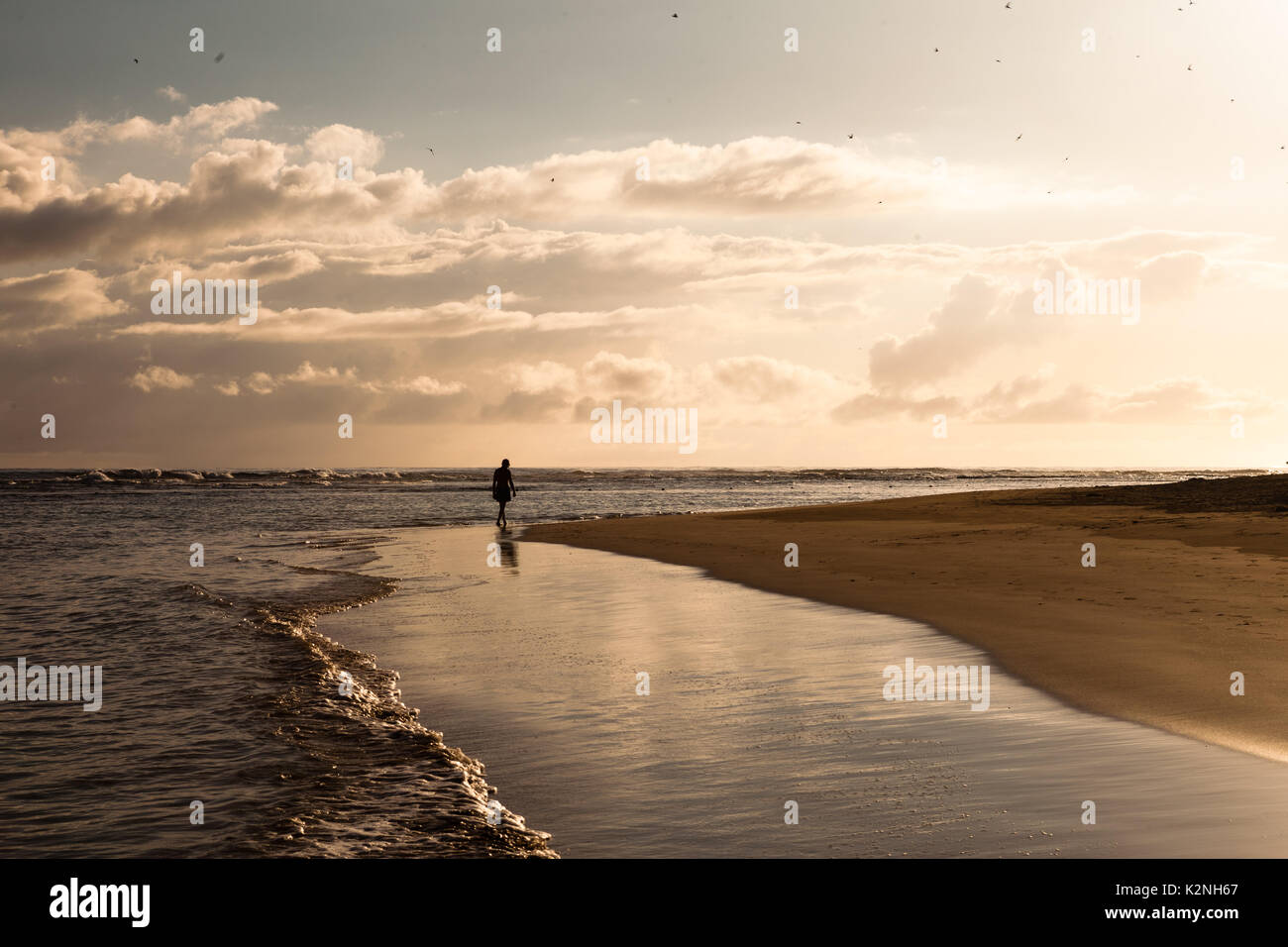 Sunset in a beach in Samaná Stock Photo - Alamy