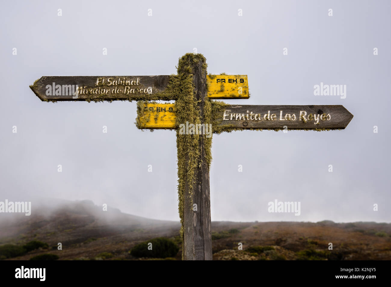 Moss covered sign hi-res stock photography and images - Alamy