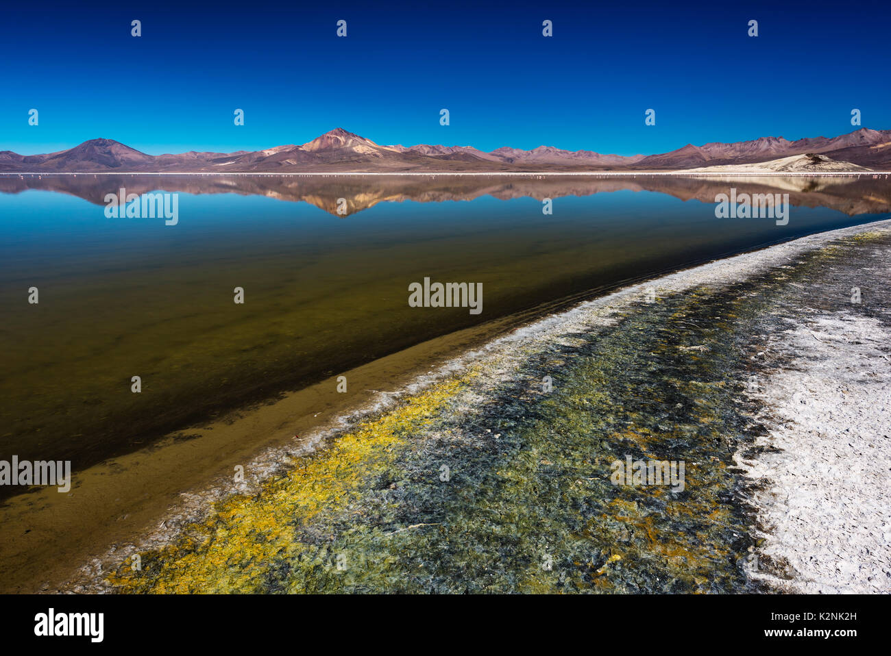 Salt Lake Salar de Surire, Monumento Natural, Reserva nacional Las ...