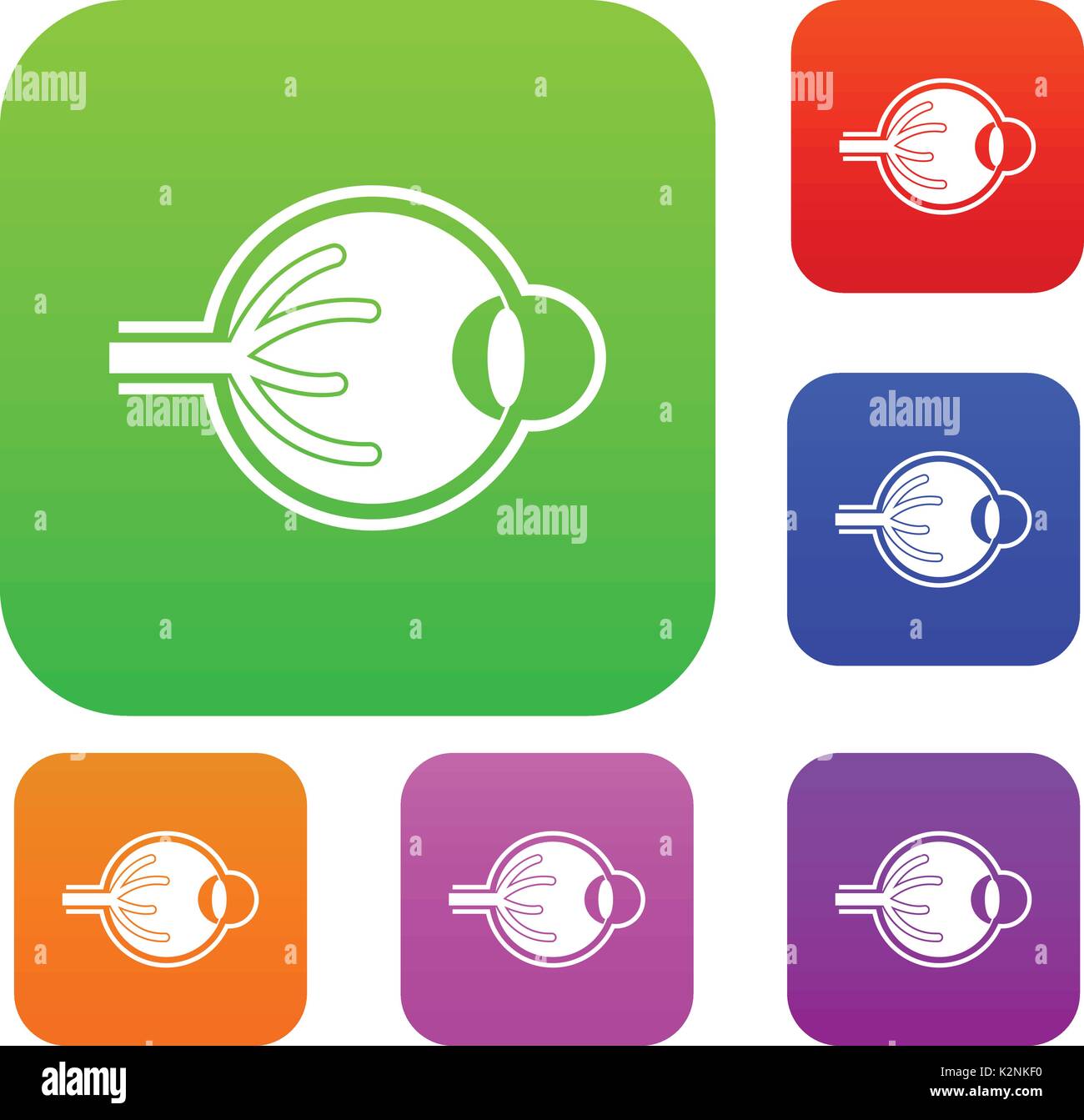 Human eyeball set collection Stock Vector Image & Art - Alamy