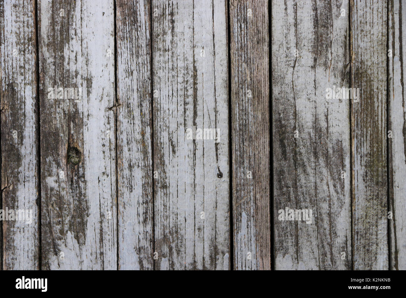 Panel structure hi-res stock photography and images - Alamy