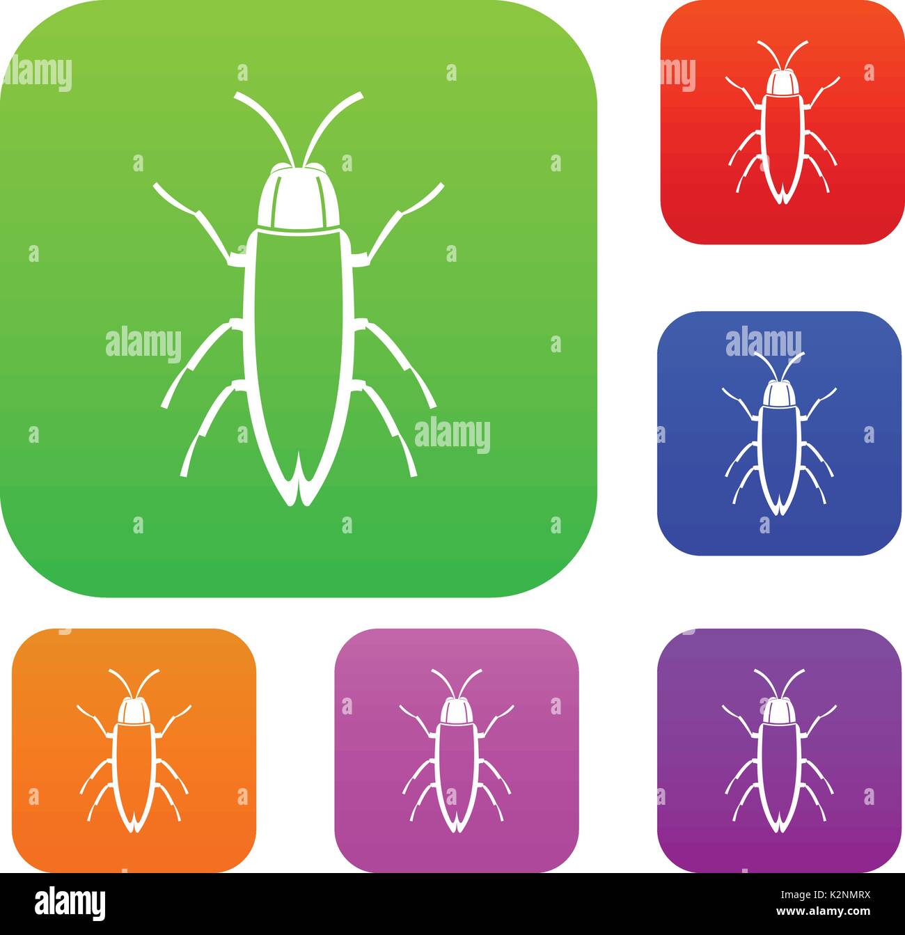 Cockroach set collection Stock Vector Image & Art - Alamy