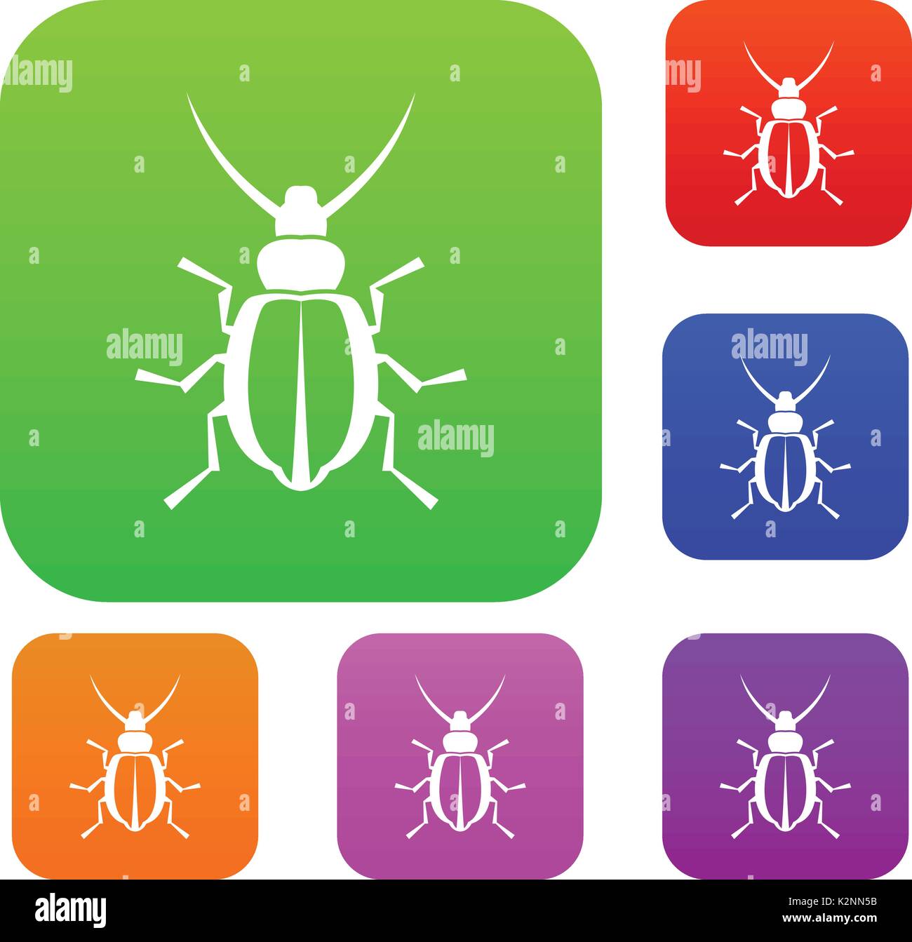Beetle set collection Stock Vector Image & Art - Alamy