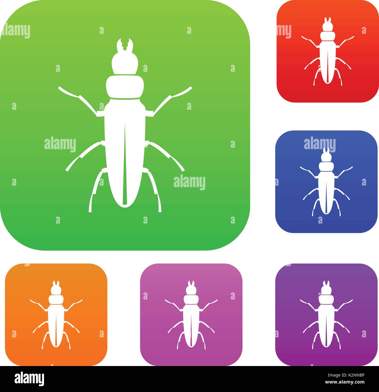 Beetle insect set collection Stock Vector Image & Art - Alamy