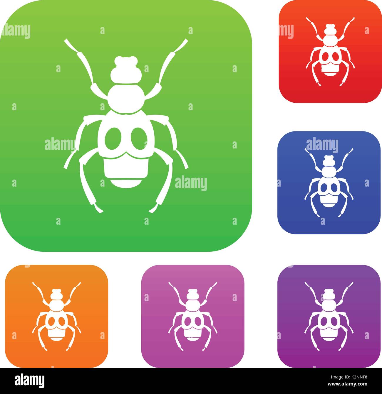 Beetle insect set collection Stock Vector Image & Art - Alamy