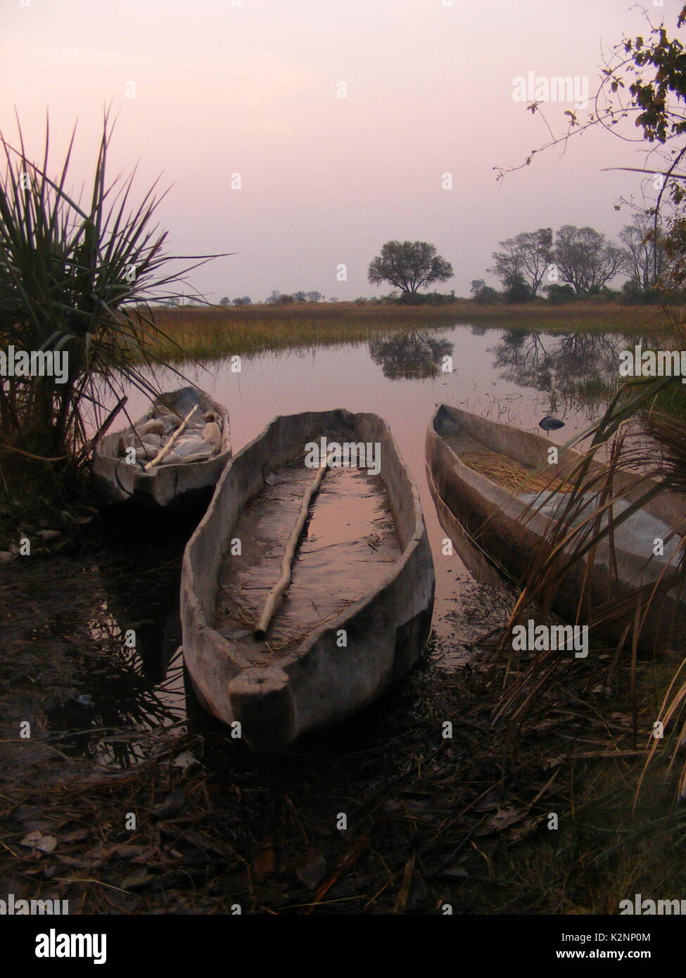 Wooden dugout Mokoro canoe in the Okavango Delta, Botswana Stock Photo ...